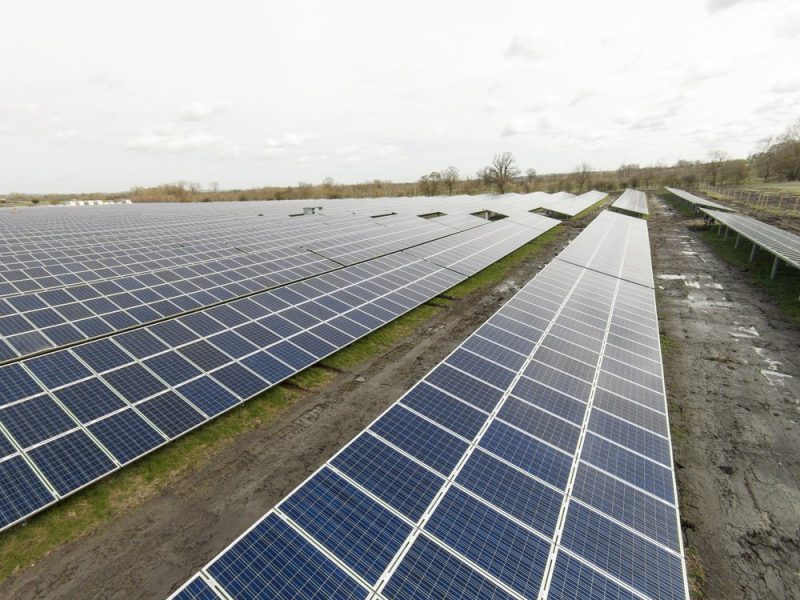 Crops under solar panels can be a win-win | Tanjent Energy
