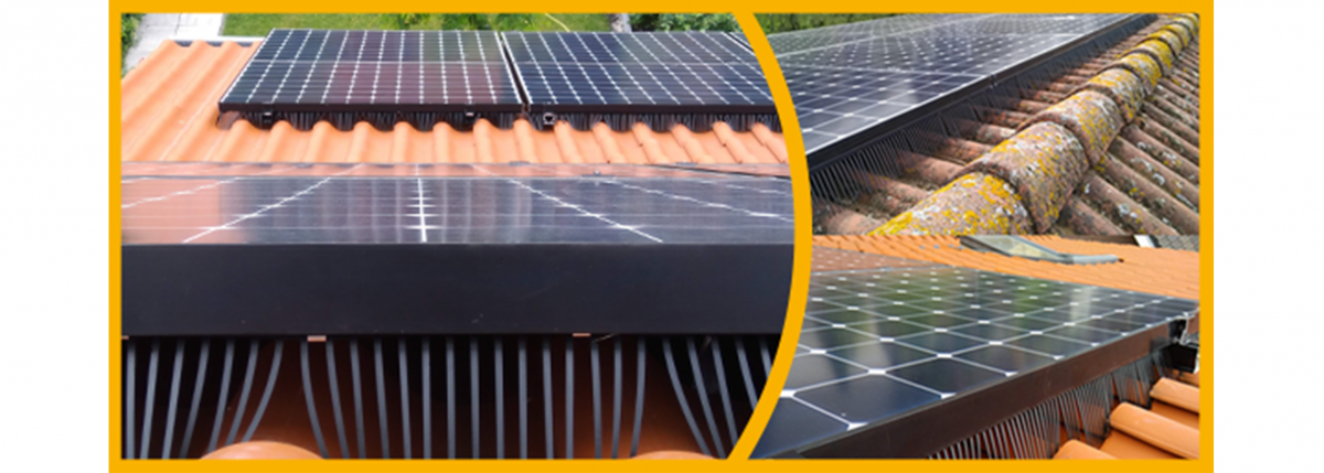 Solar Panel Bird Control Systems | Tanjent Energy